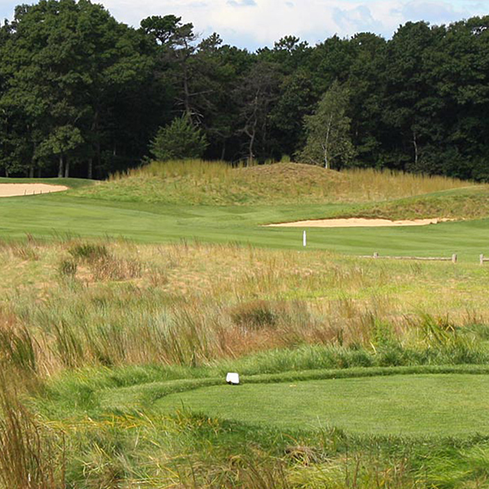 Home - Mill Pond Golf Course